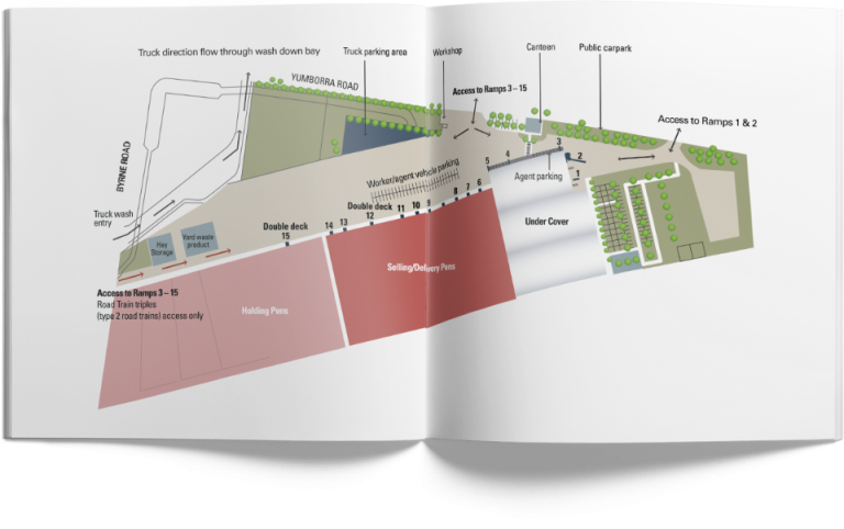 Dalby Regional Saleyards | Livestock Buying and Selling